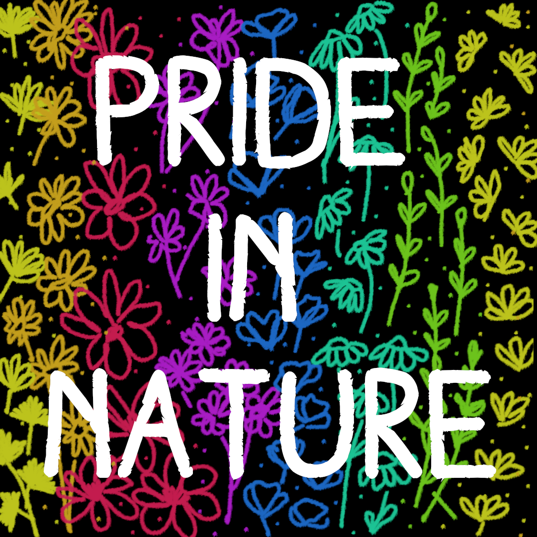 Pride in Nature 2023 – Windmill Community Gardens Margate