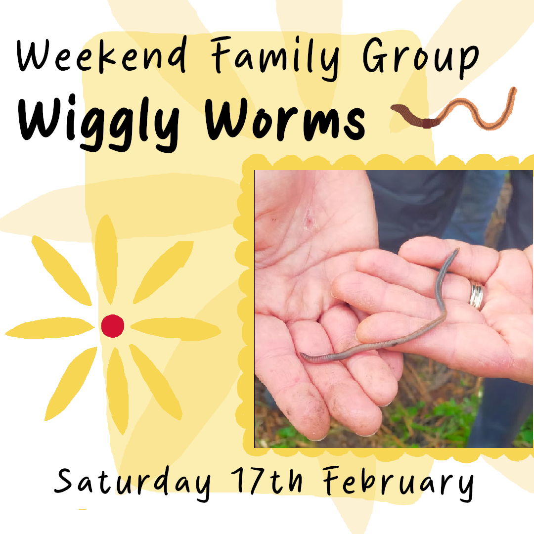 Community Compost Scheme – Windmill Community Gardens Margate